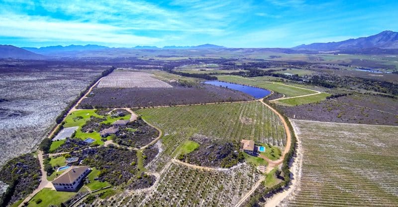 Barton Vineyards | South African Wine | Stainton Wines